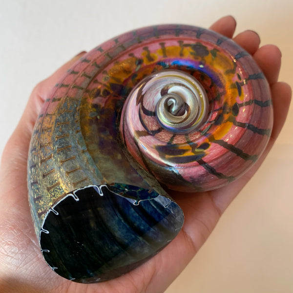 Iridescent glass shell - Pink shimmer - Ferrers Gallery